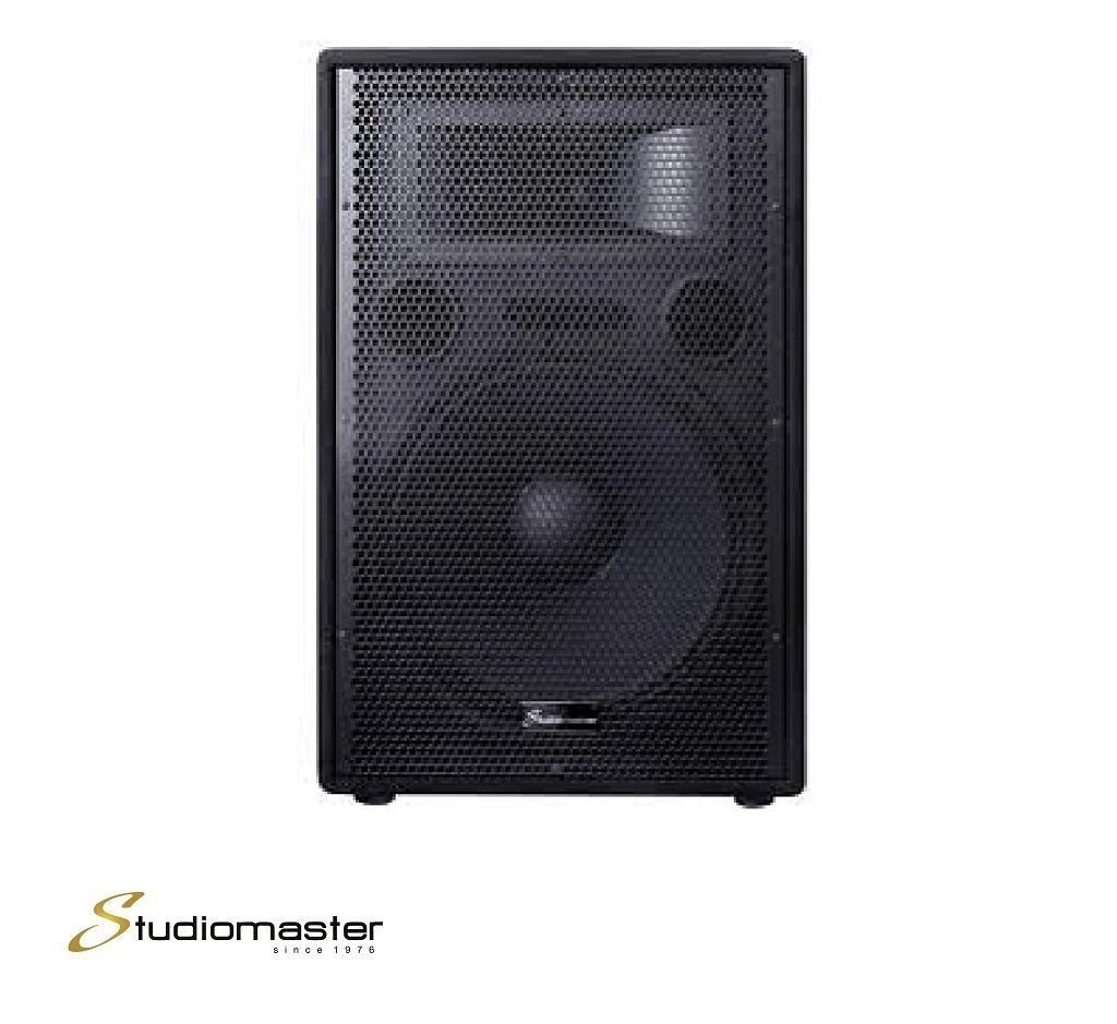 Studiomaster GX15 15" 2Way 200W Passive Speaker Cabinet – CSH Online Store